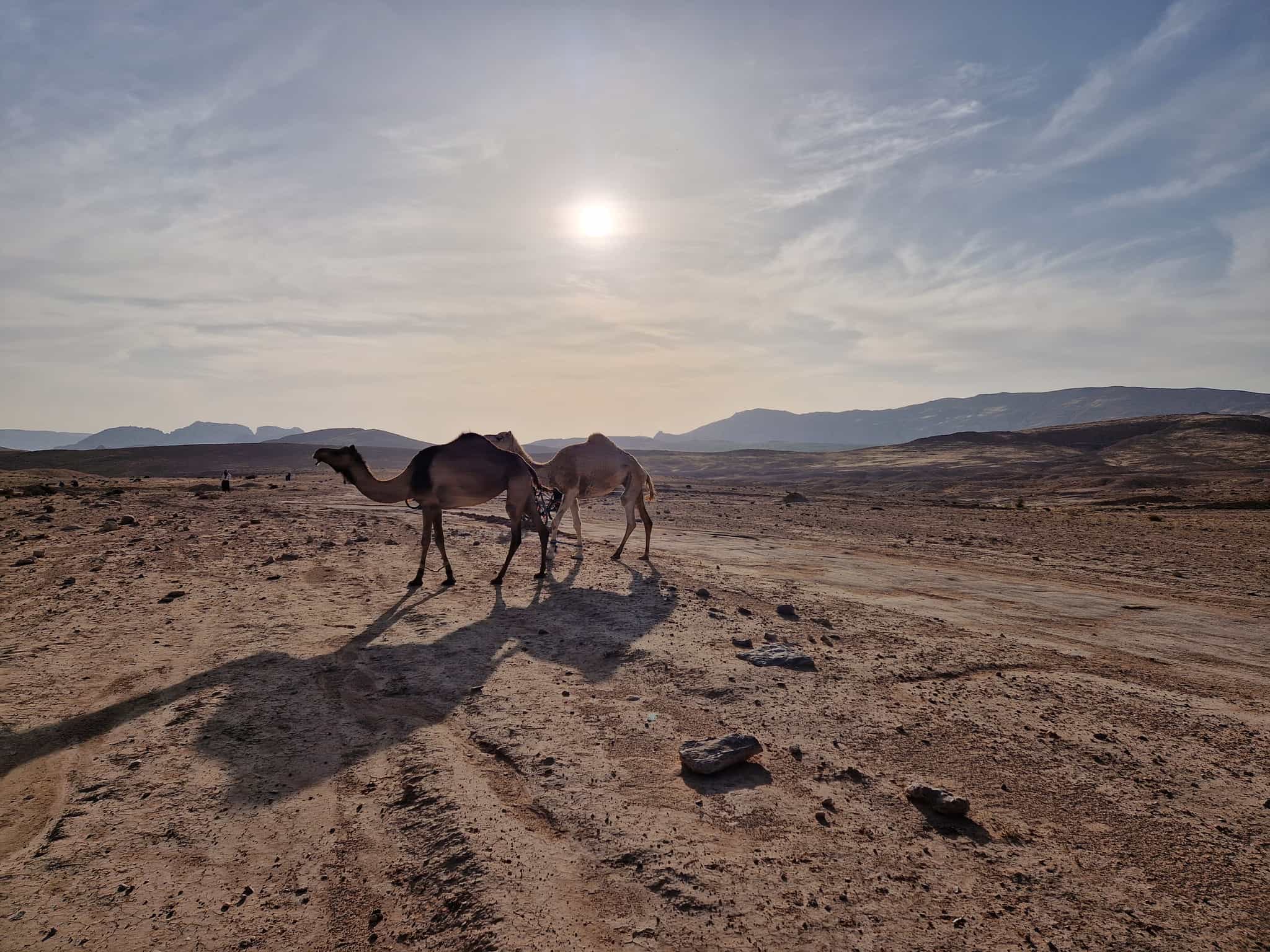 Cycle the Jordan Trail to Petra | Much Better Adventures