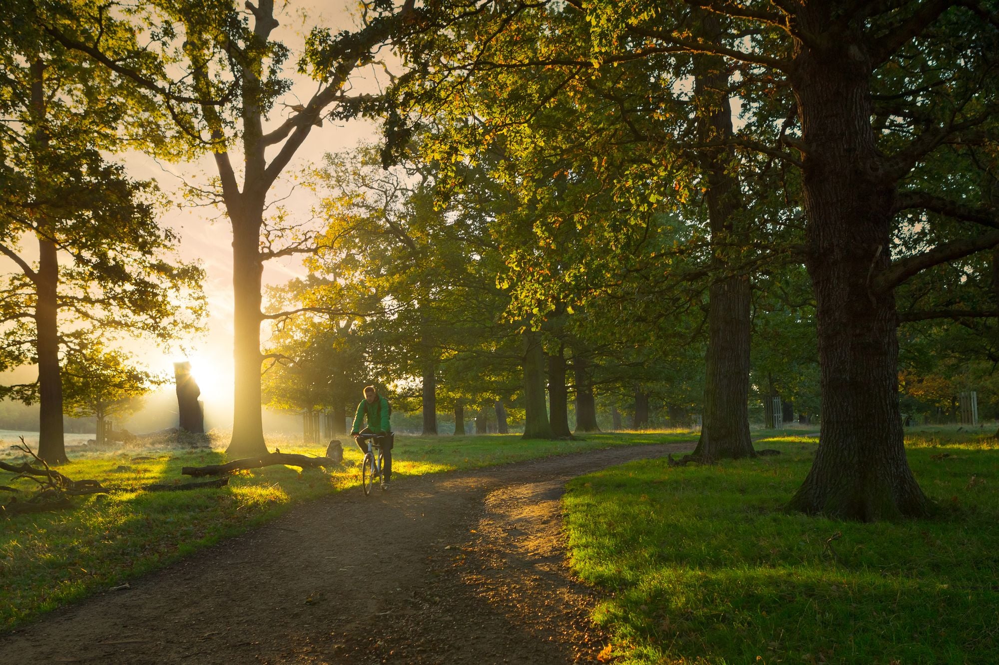 Best Cycle Routes London: 6 Epic Cycle Routes In and Around London