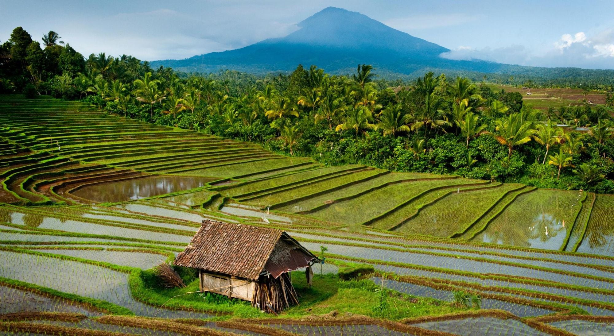 Bali Indonesia People
