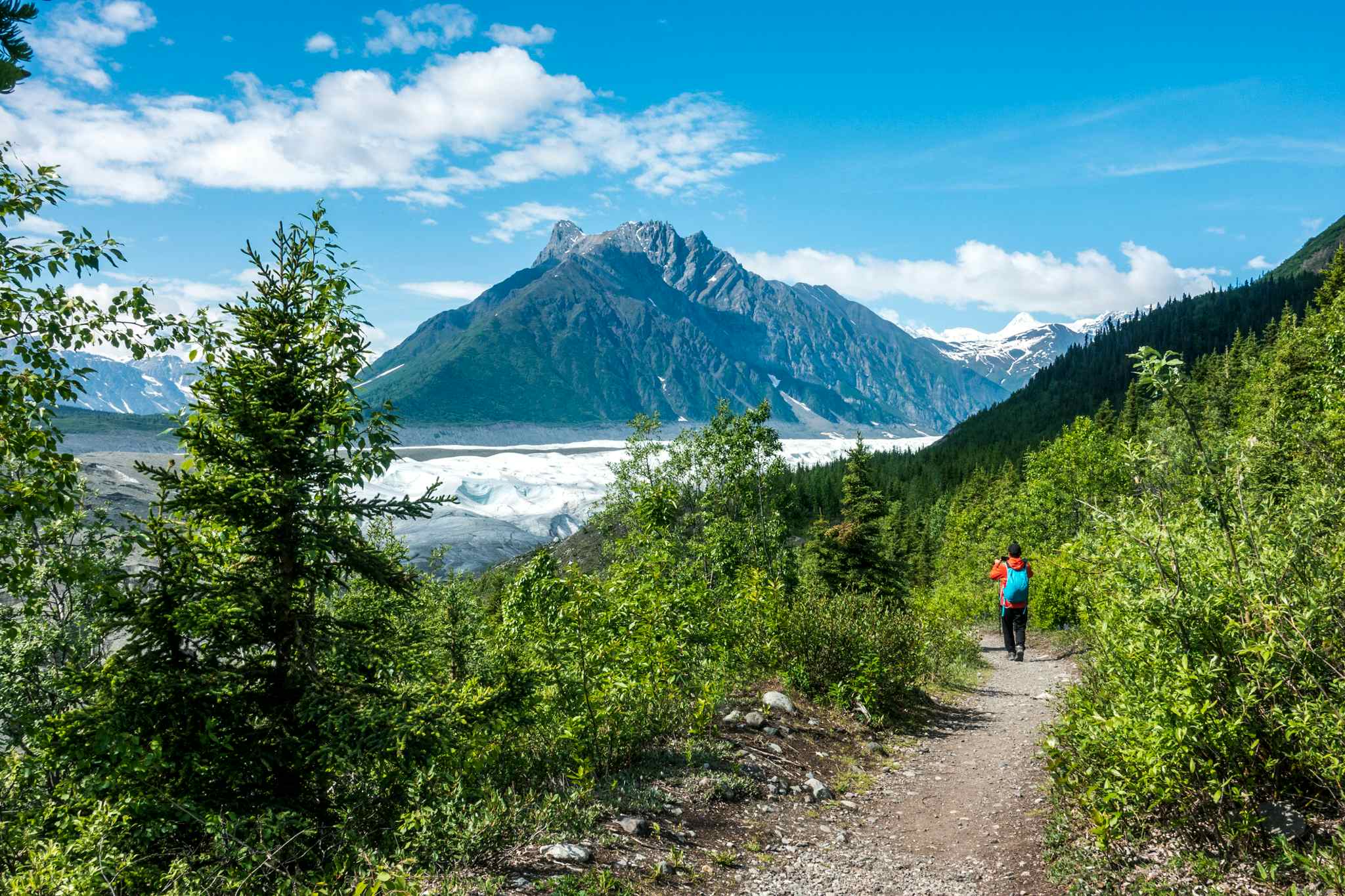 5 of the Best Hikes in Wrangell-St Elias National Park