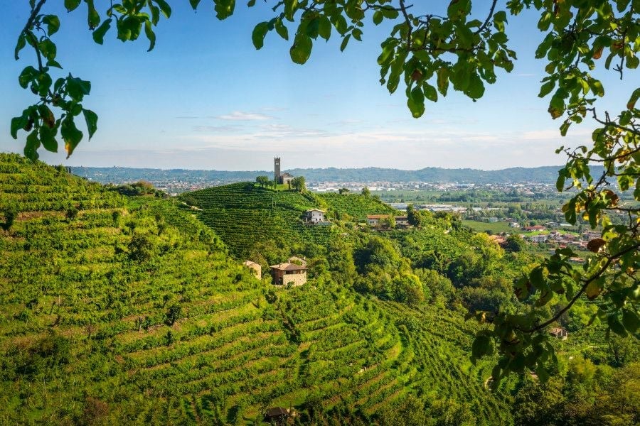 Here's Why You Should Visit Italy's Prosecco Hills