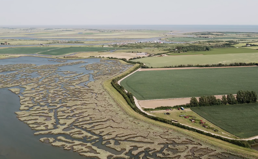 Good News August: Dolphin Poo, Free Trains & a New Essex Hiking Path