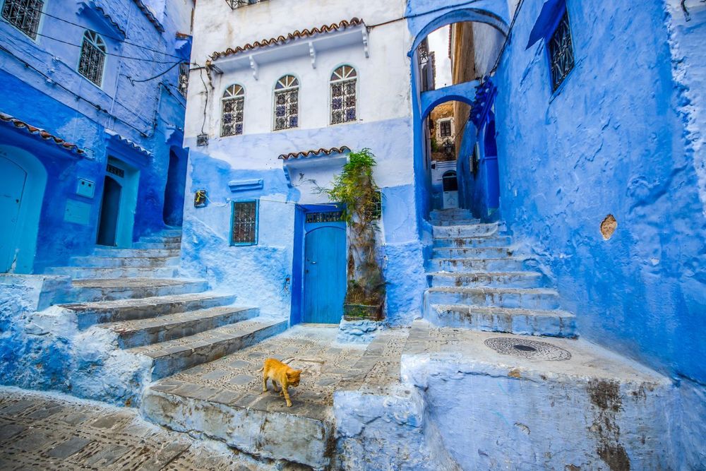 Why is the City of Chefchaouen in Morocco Blue?