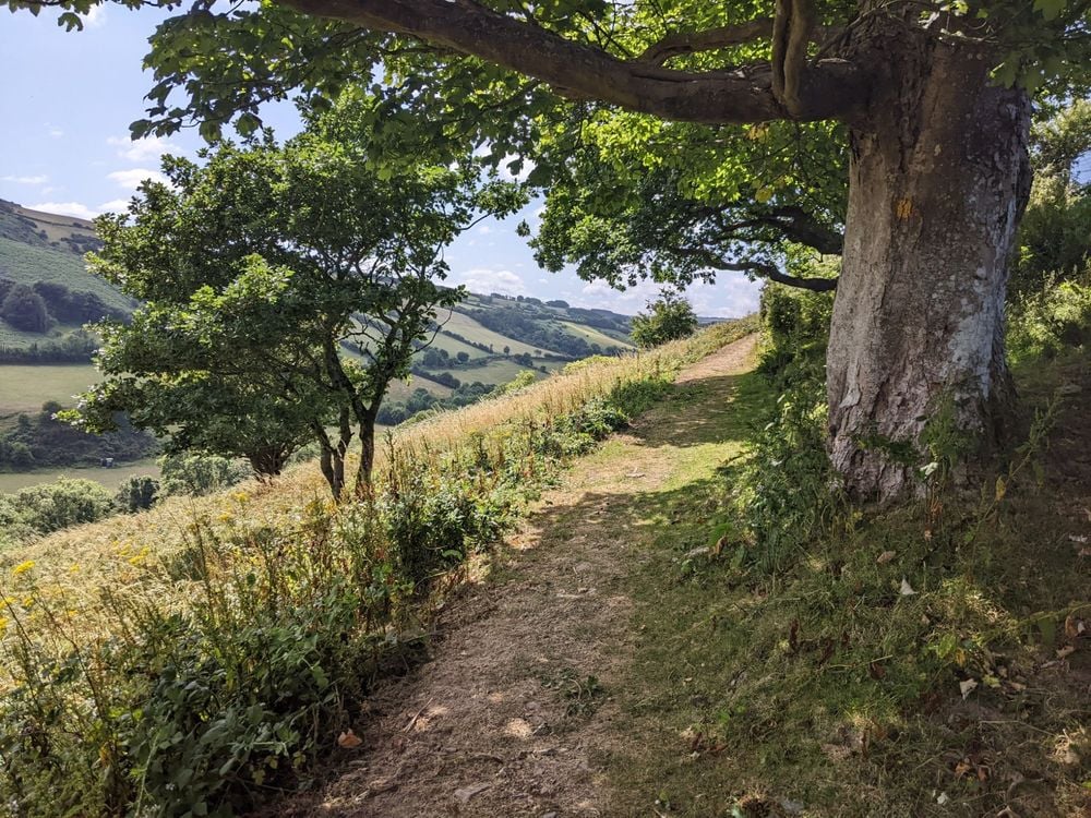 The Coleridge Way: Exmoor's 51-Mile Trail Through Poetic History