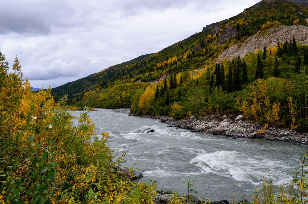 Frozen Fjords and Wild Rivers: A Guide to Kayaking in Alaska
