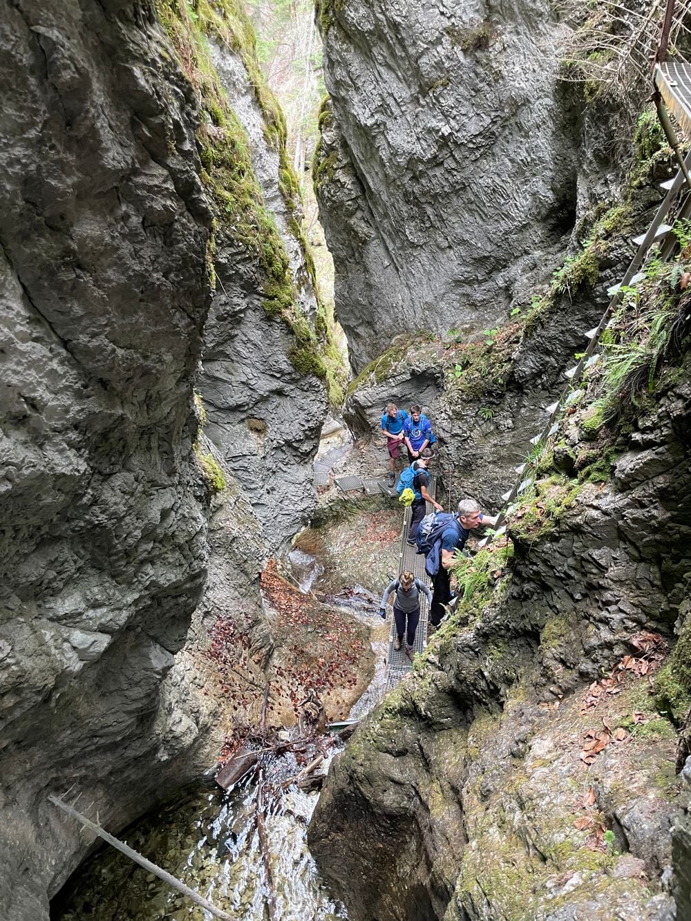 Mountains, Ladders and Gorges: The Thrill of Hiking in Slovakia