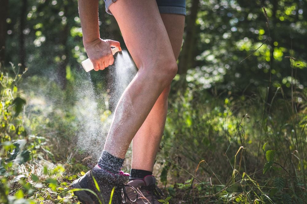 How to Remove a Tick Properly (and Avoid Ticks to Start With)