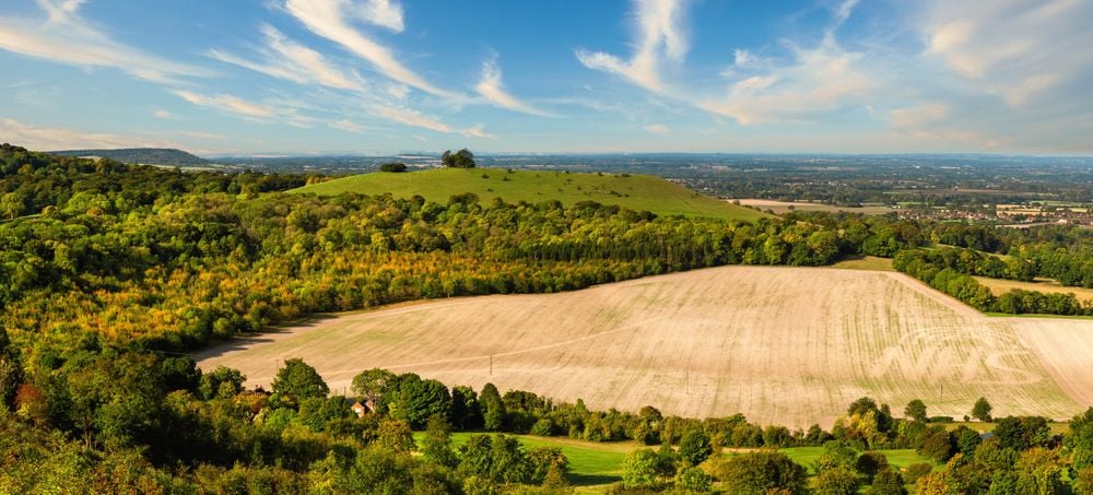Best Hikes in London: 10 Great Walks Near England's Capital