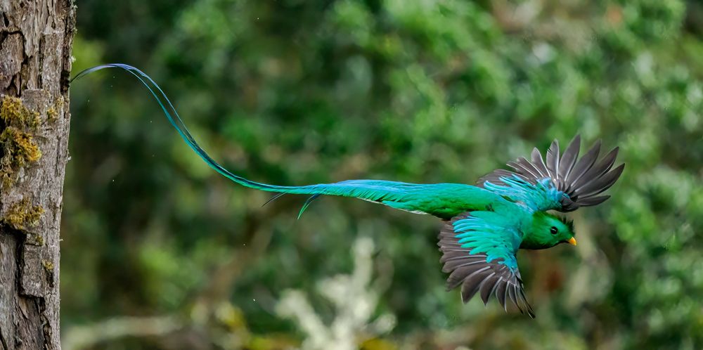 Camino de Costa Rica: Inside the 280km Coast to Coast Walk