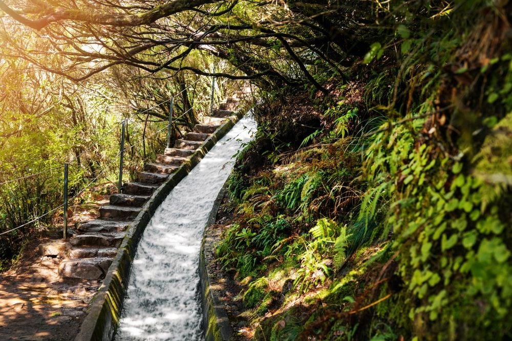 10 of the Best Levada Walks in Madeira