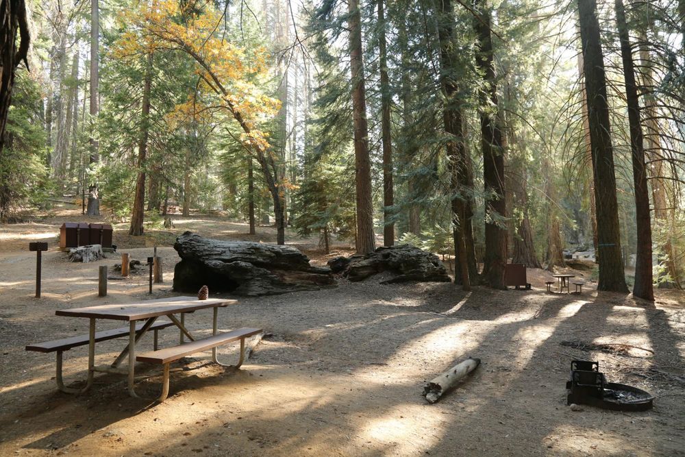 10 of the Best Hikes in Sequoia and Kings Canyon National Parks