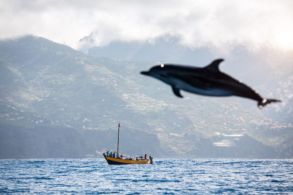 What I Wish I Knew Before Visiting Madeira