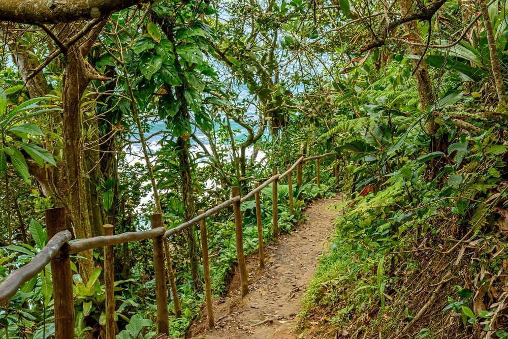 What I Wish I Knew Before Visiting Brazil