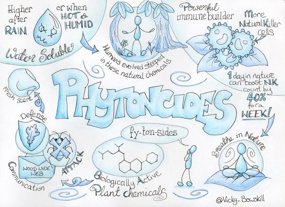 How Does Being Neurodivergent Shape Your Outdoor Experience?