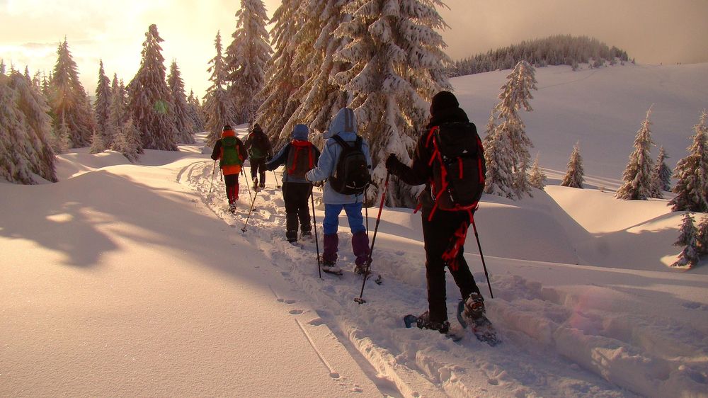 A History of Winter Solstice Celebrations Around the World