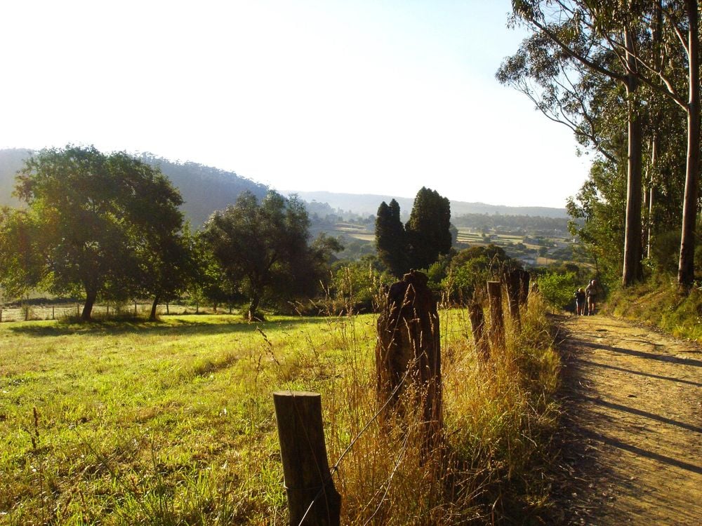 A Guide to the Camino de Santiago, Europe's Famous Pilgrim's Routes