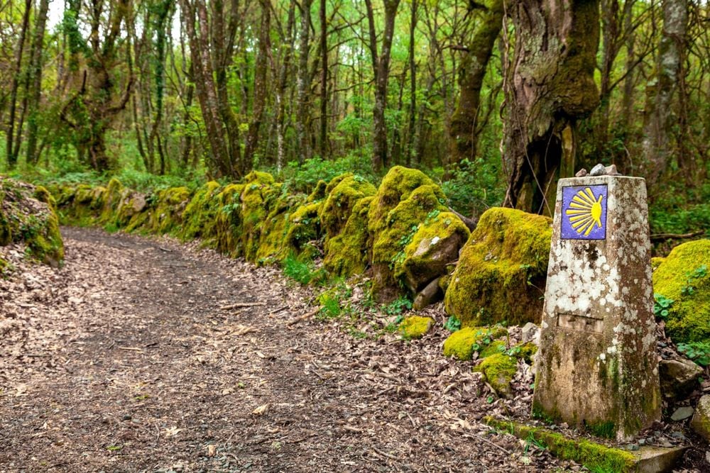 A Guide to the Camino de Santiago, Europe's Famous Pilgrim's Routes