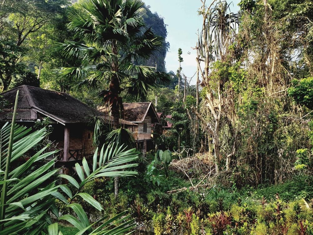 A Guide to Khao Sok National Park in Thailand