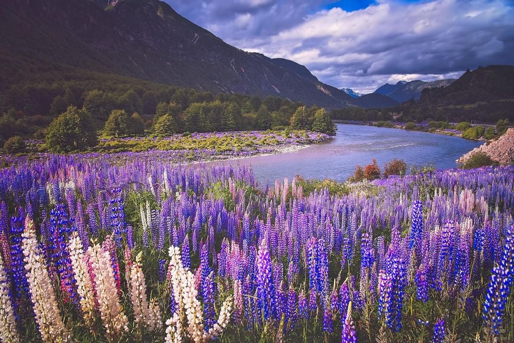 When to Visit Patagonia: Seasonal Guide & Weather Tips