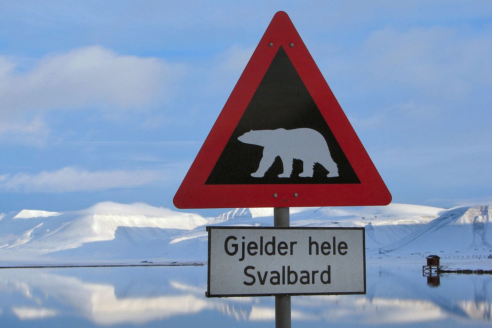Inside Life on Svalbard: Polar Bears, Glaciers & 24-Hour Daylight