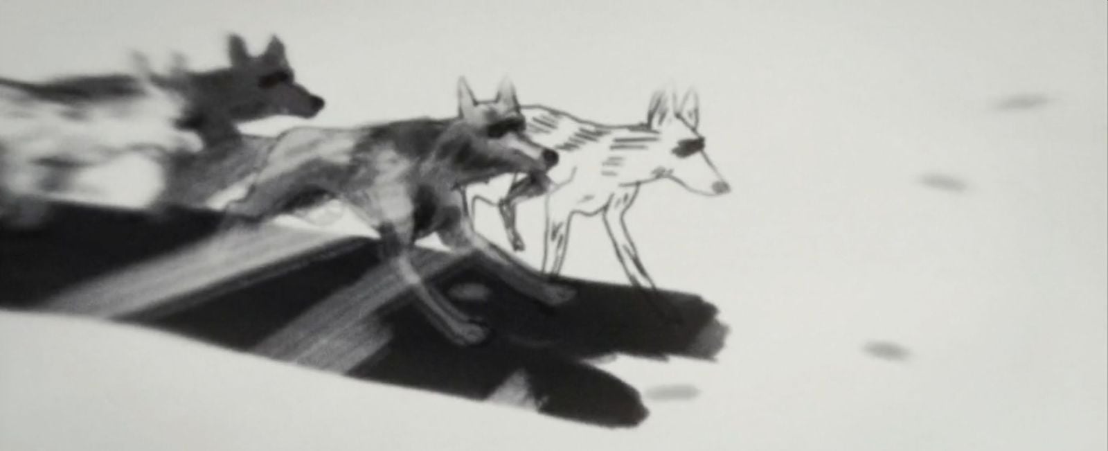 Icebound | The Animated Tale of Peter Freuchen