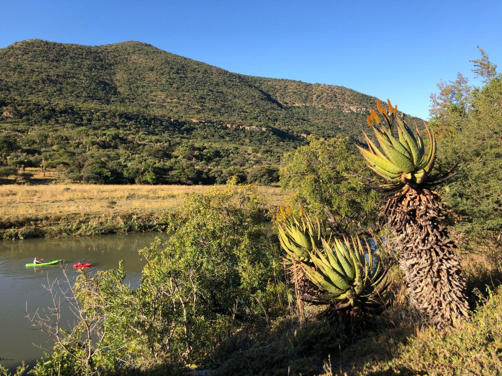 7 Things to Do in Drakensberg, From Hiking to Vulture Spotting