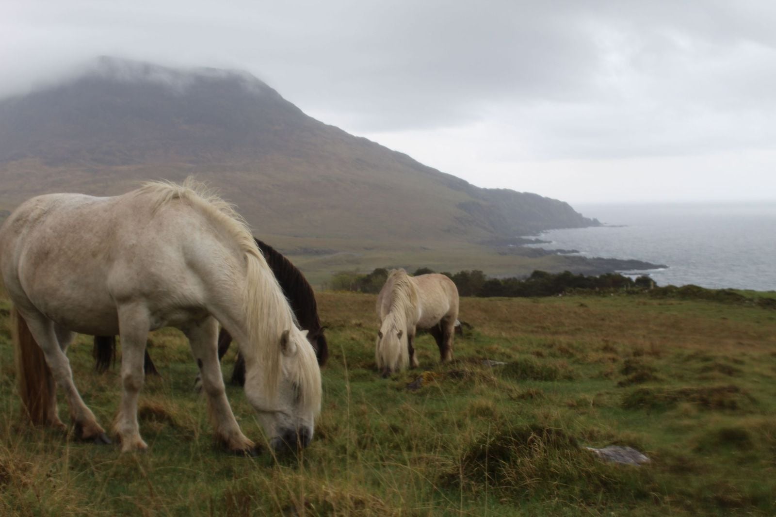 Climbing the Rùm Cuillin, on Scotland's 'Forbidden Isle'