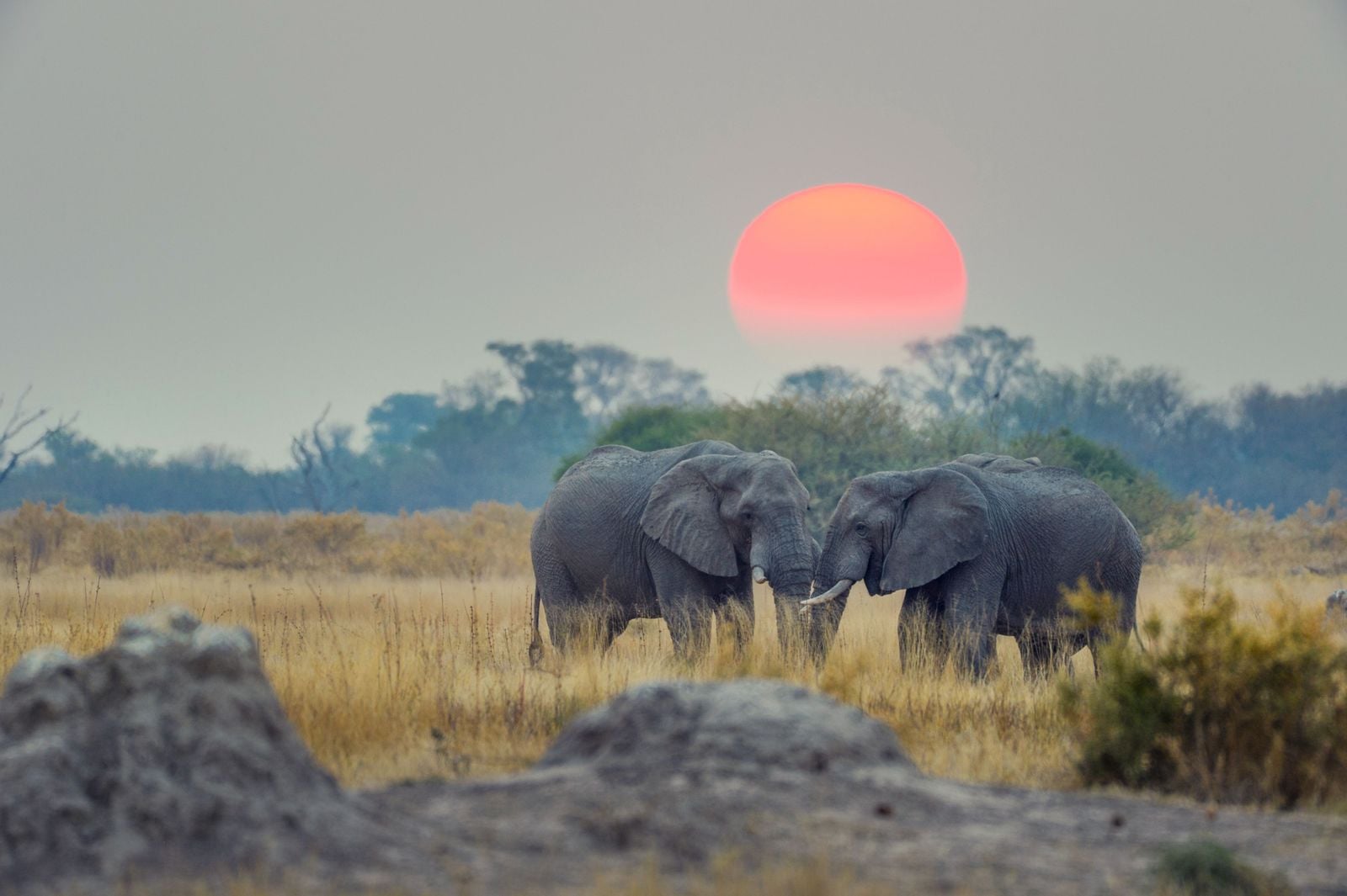 50 of the Best Adventure Ideas Around the World