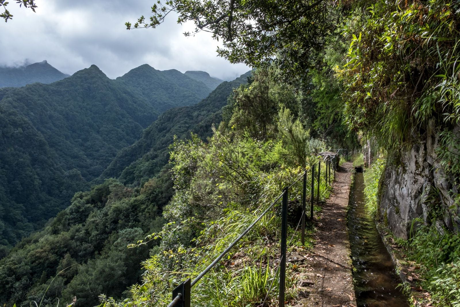 10 of the Best Levada Walks in Madeira