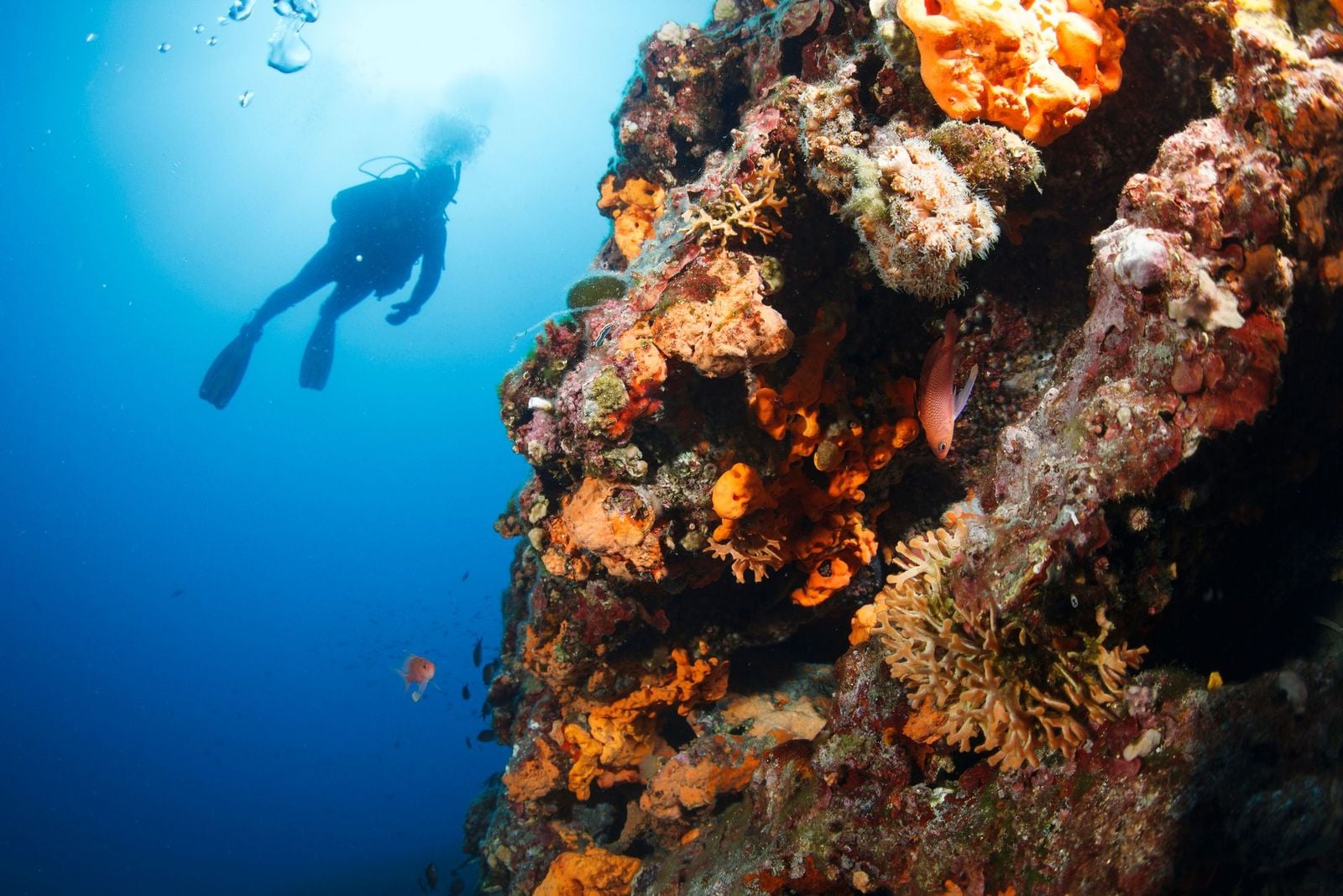 An Adventure Guide to the Greek Islands