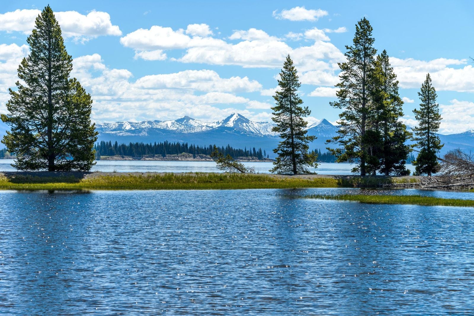 10 of the Best Day Hikes in Yellowstone