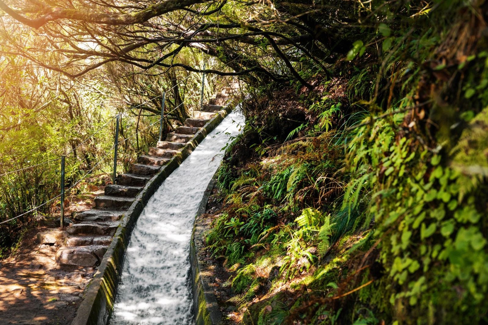 10 of the Best Levada Walks in Madeira