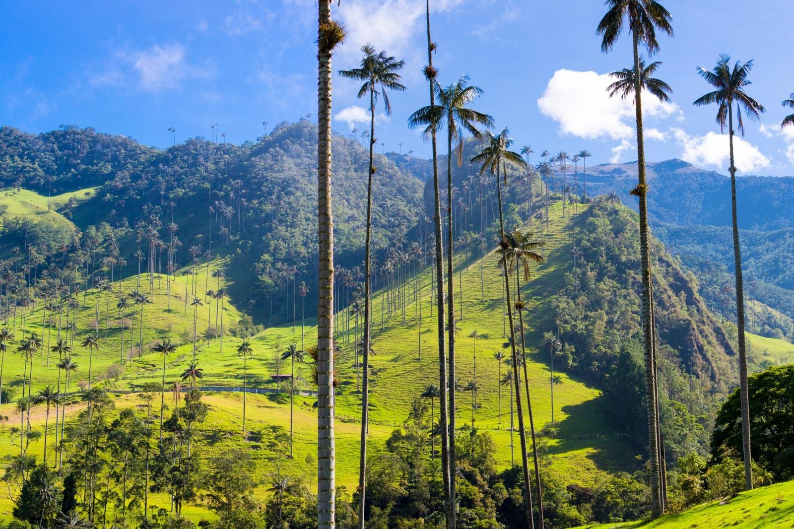 20 of the Best Places to Visit in January