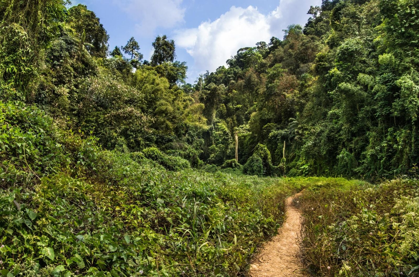 A Guide to Khao Sok National Park in Thailand