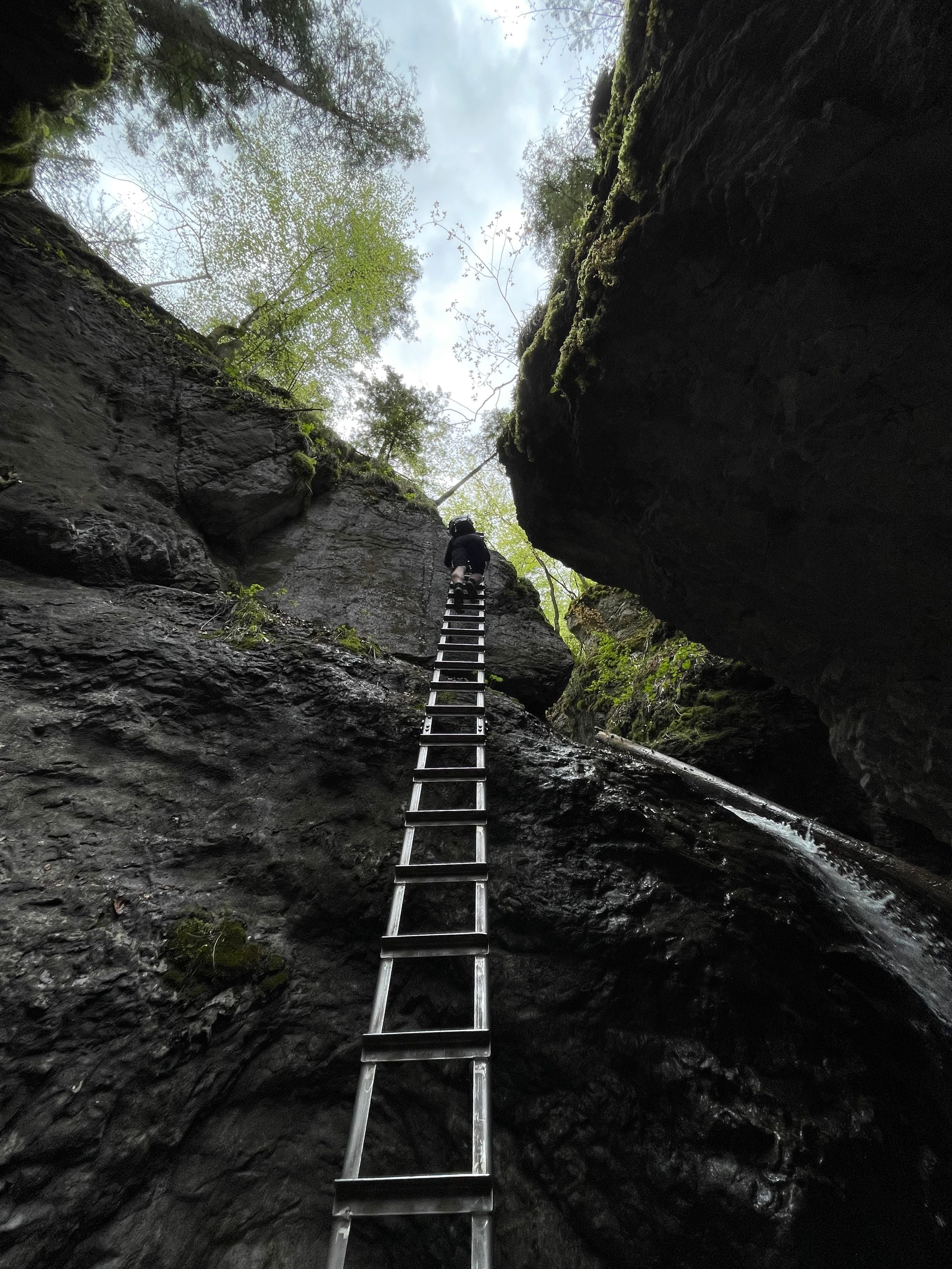 Mountains, Ladders and Gorges: The Thrill of Hiking in Slovakia