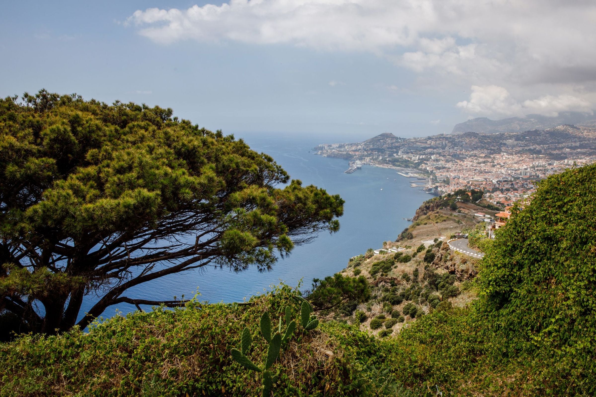 10 of the Best Levada Walks in Madeira