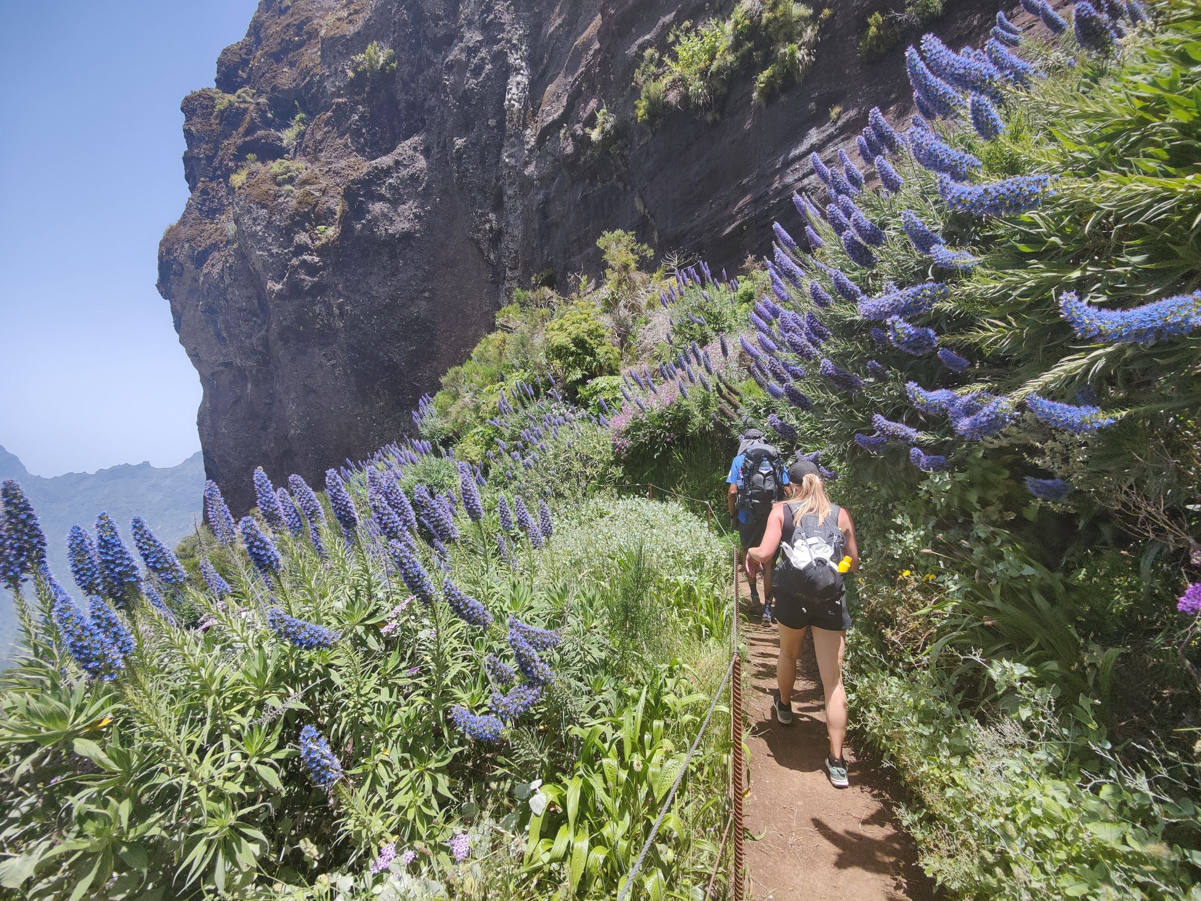 Hiking in Madeira: Traversing this Wild Atlantic Island