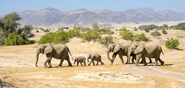 Namibia Holidays | Your Adventure Guide to the Country
